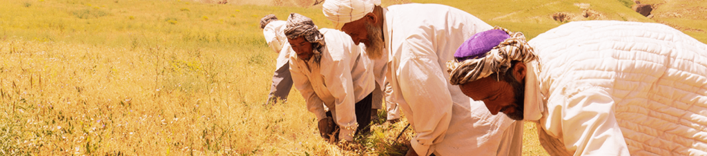 Afghanistan - CIRDAP - Enabling Rural Communities