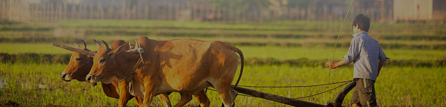 Bangladesh - CIRDAP - Enabling Rural Communities